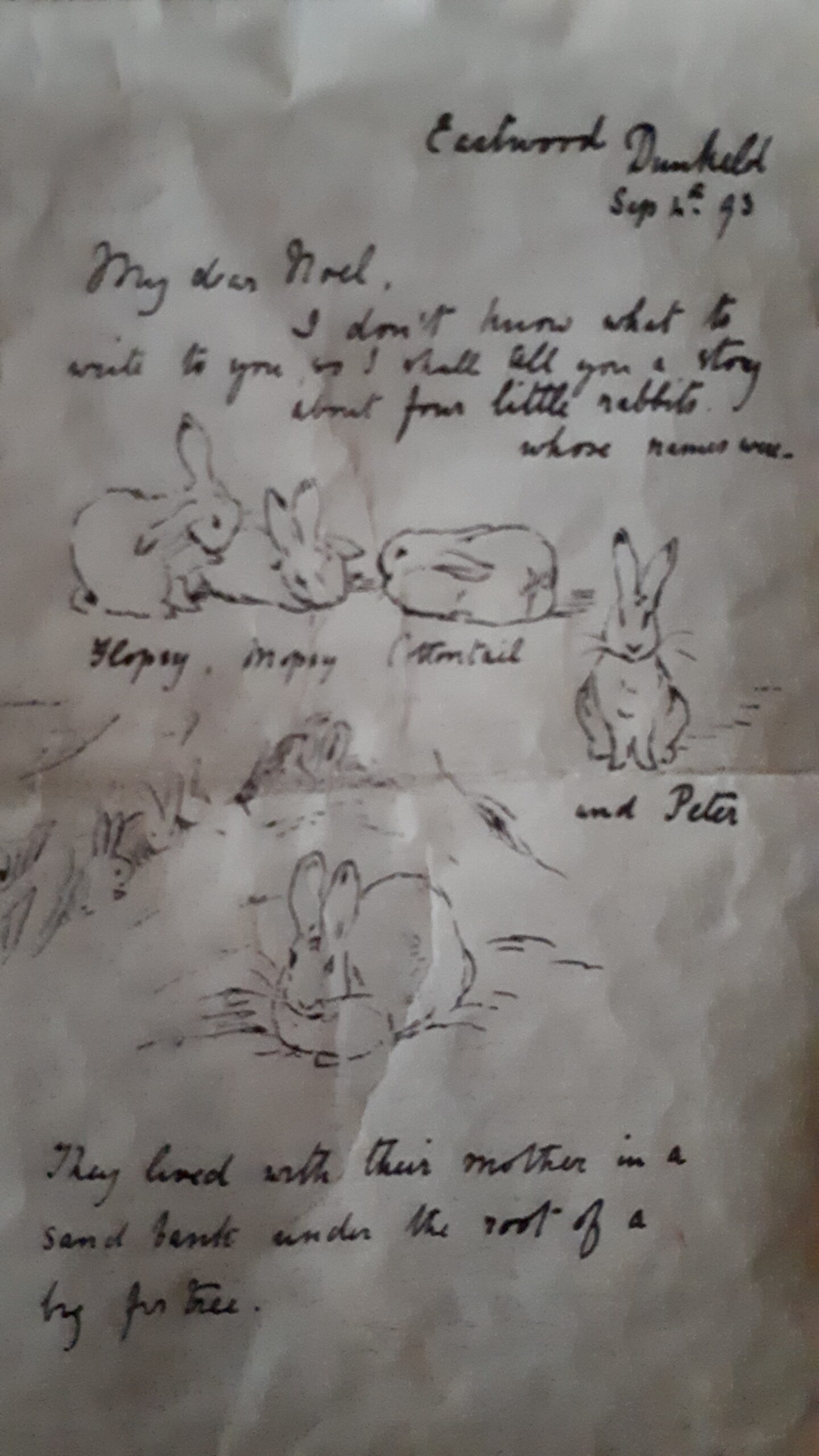 Beatrix Potter – Die Spurensucherin